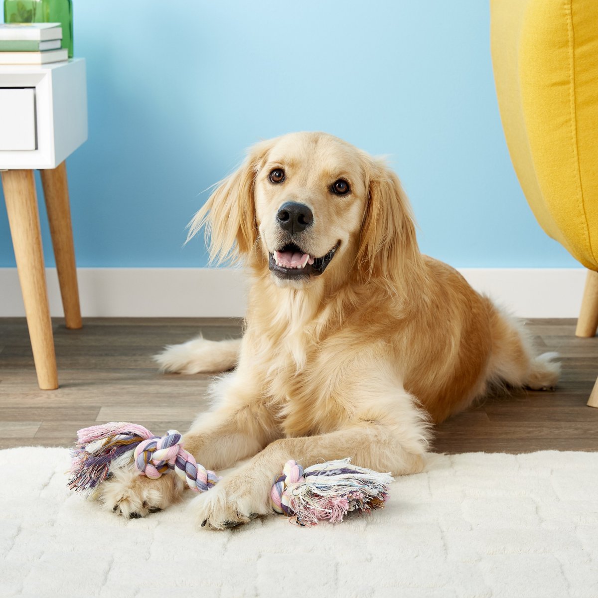 BOODA Multi Color 2-Knot Rope Bone Dog Toy, X-Large - Chewy.com