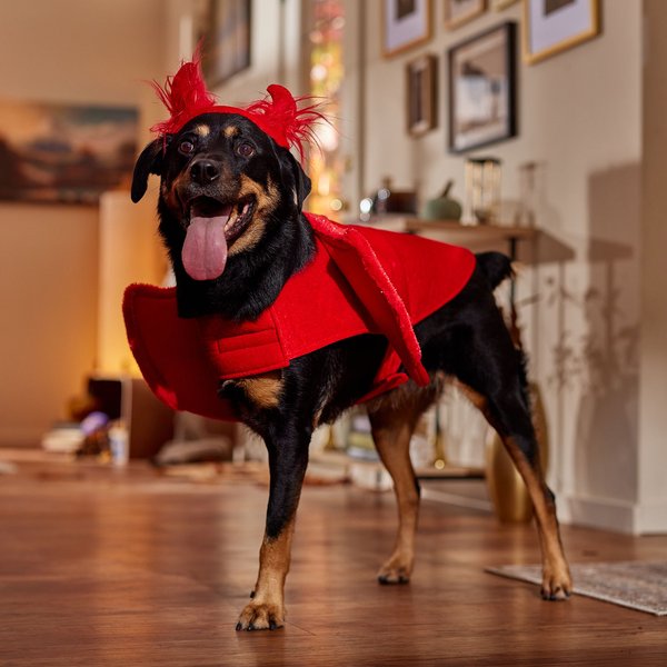 FRISCO My Little Devil Dog & Cat Costume Accessory, X-Large/XX-Large ...