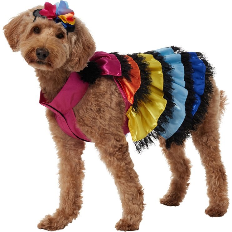 DOG DRESSES FOR LARGE DOGS (Free Shipping) | Chewy