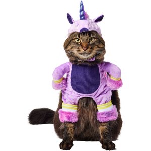 Cat Halloween Costumes: Cute, Funny & More (Free Shipping) | Chewy