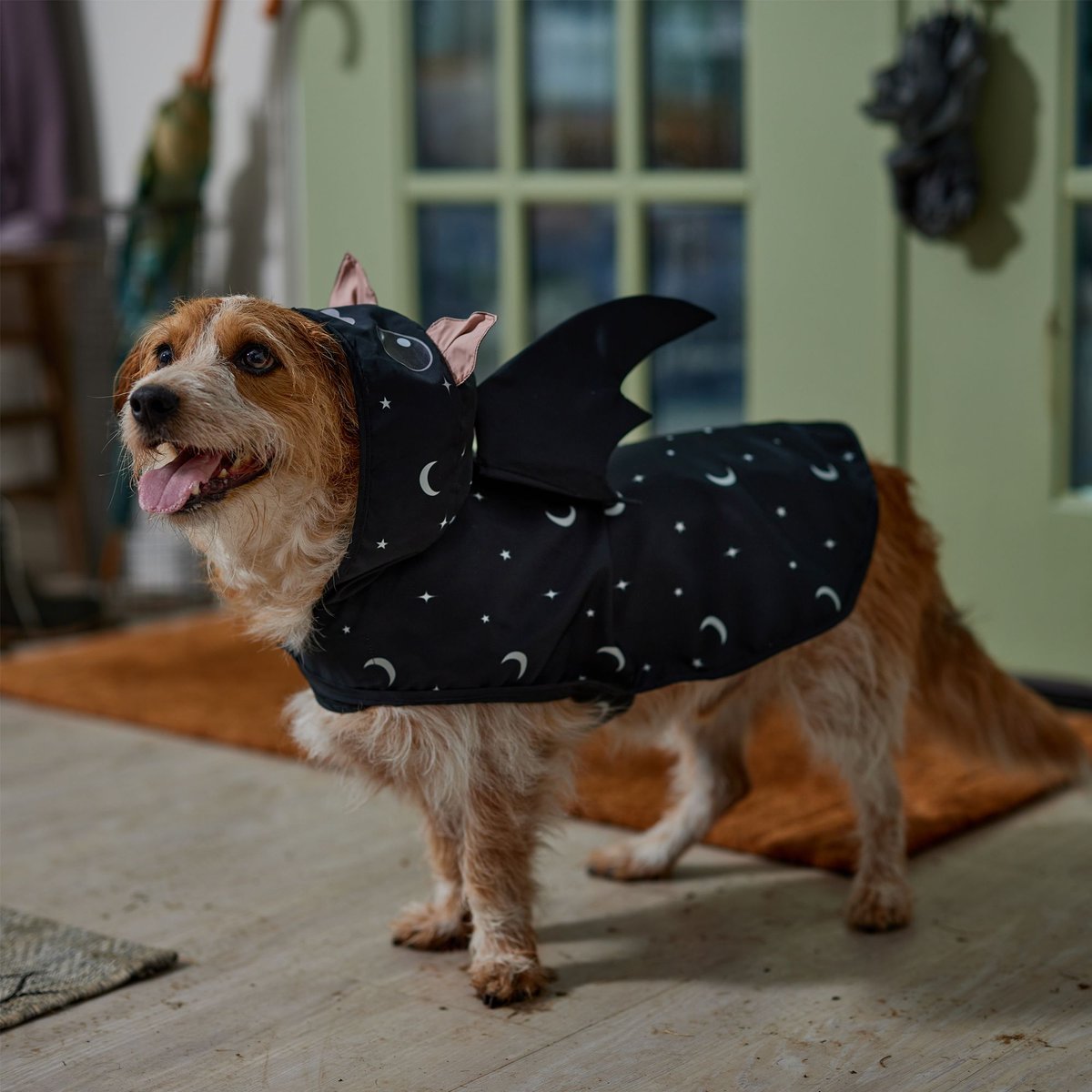 Out of Stock - FRISCO Ultra Light Weight Bat Dog Raincoat, Large ...