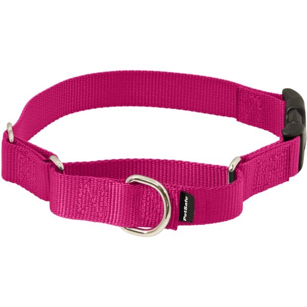 PINK DOG COLLARS (Free Shipping) | Chewy