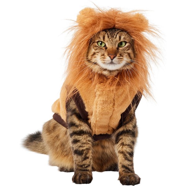 FRISCO Lion Mane Dog & Cat Costume, Large - Chewy.com