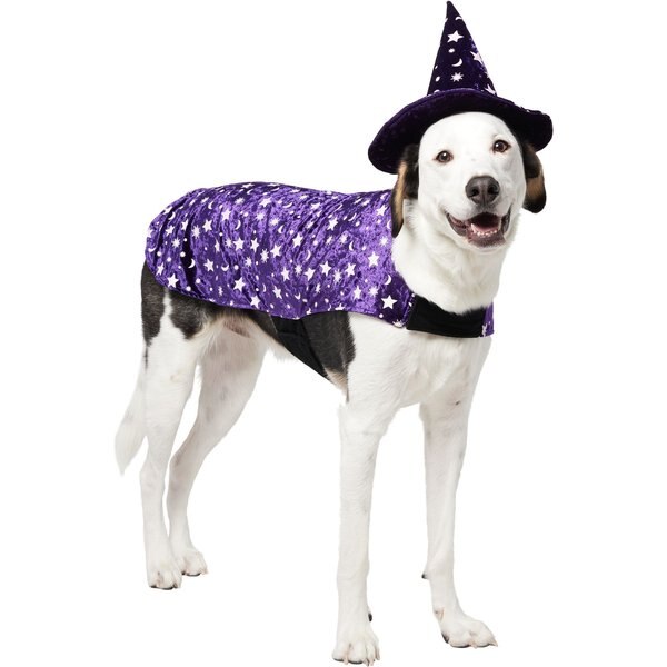 FRISCO Front Walking Alien Dog & Cat Costume, XX-Large - Chewy.com