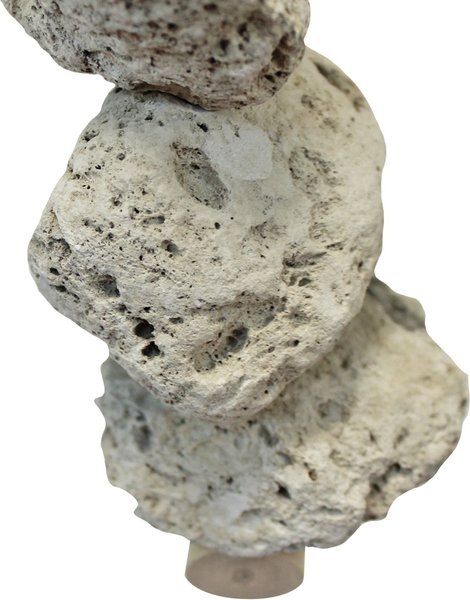 EXOTIC NUTRITION Pumice Hanging Sugar Glider & Mouse Chew Toy - Chewy.com