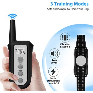 10 Best Electric Dog Training Collars 2024: According to Reviews | Chewy