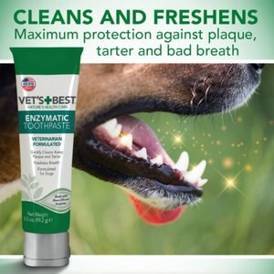 10 Best Dog Toothpastes 2024: According to Reviews | Chewy