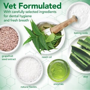 10 Best Dog Toothpastes 2024: According to Reviews | Chewy