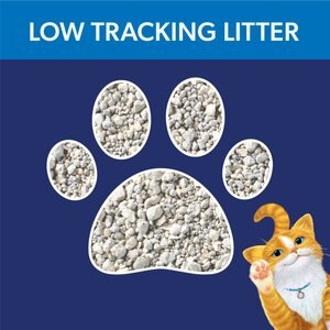 10 Best Cat Calmers 2024: According to Reviews | Chewy