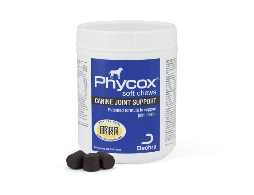 PHYCOX Soft Chews Joint Supplement for Dogs, 120 count - Chewy.com