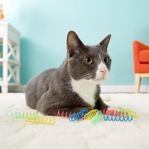 10 Best Cat Balls & Chase Toys 2025: According to Reviews | Chewy