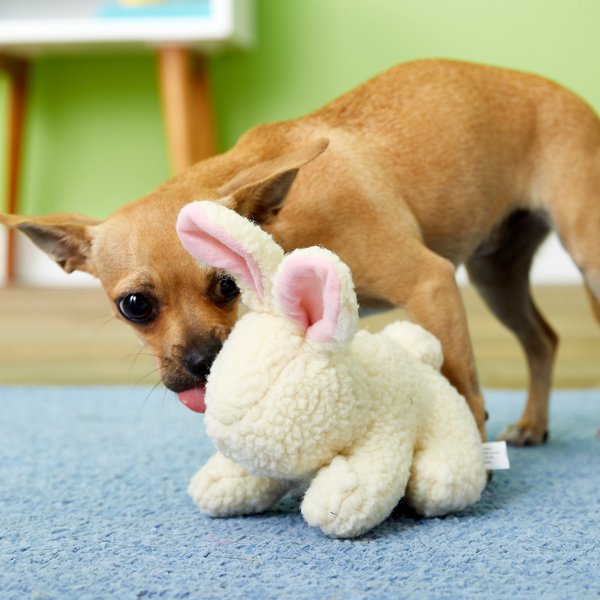 ETHICAL PET Fleece Rabbit Squeaky Tough Plush Dog Toy - Chewy.com