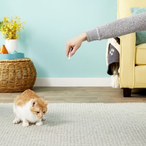 10 Best Electronic Cat Toys 2024: According to Reviews | Chewy