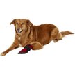 ULTRA PAWS Wound Dog Boot, Large - Chewy.com