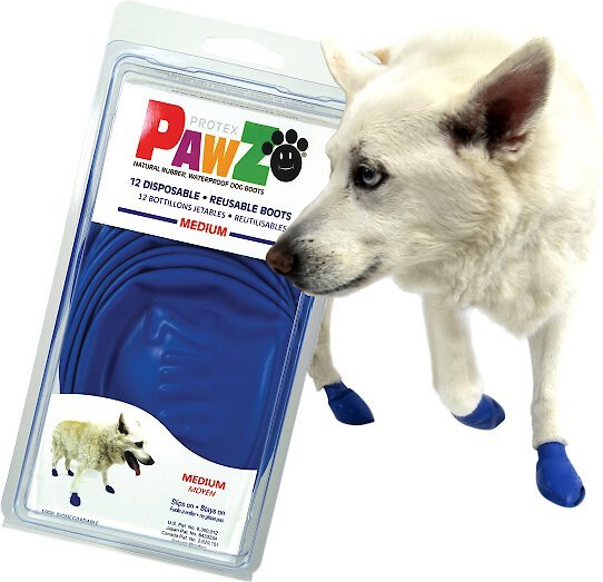 PAWZ Waterproof Dog Boots, 12 count, Blue, Medium - Chewy.com