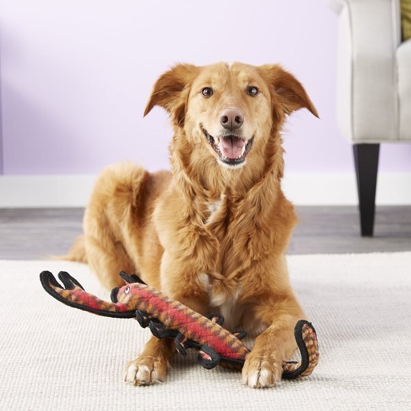 TUFFY'S Scorpion Scorch Squeaky Plush Dog Toy - Chewy.com