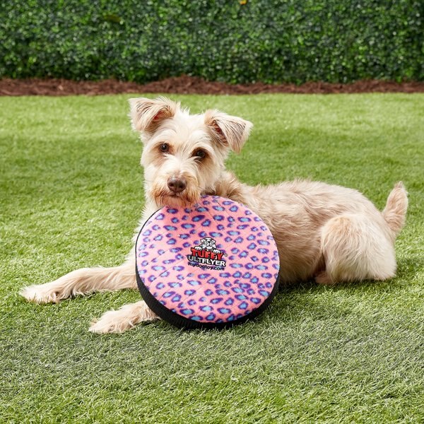 TUFFY'S Ultimate Flyer Squeaky Plush Dog Toy, Pink Leopard - Chewy.com