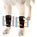 NEOALLY 3-in-1 Front Leg Dog Splint Braces, XX-Small/X-Small - Chewy.com