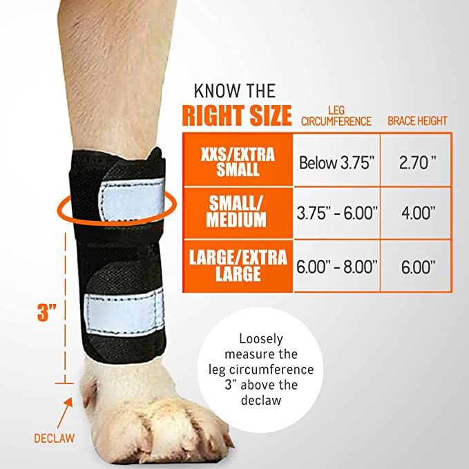 NEOALLY 3-in-1 Front Leg Dog Splint Braces, XX-Small/X-Small - Chewy.com