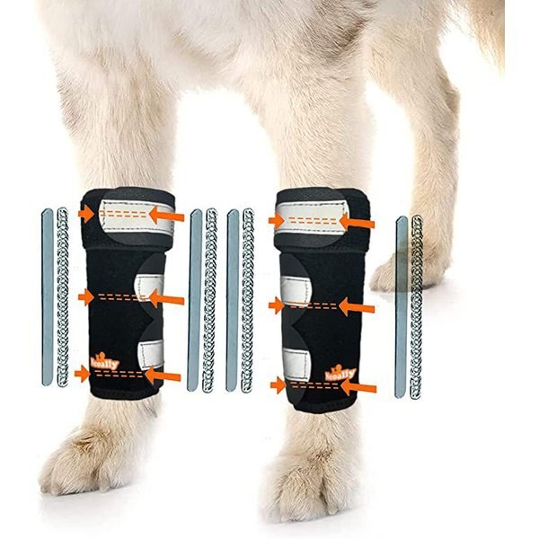 NEOALLY 3-in-1 Long Rear Leg Support Dog Splint Braces, Large - Chewy.com