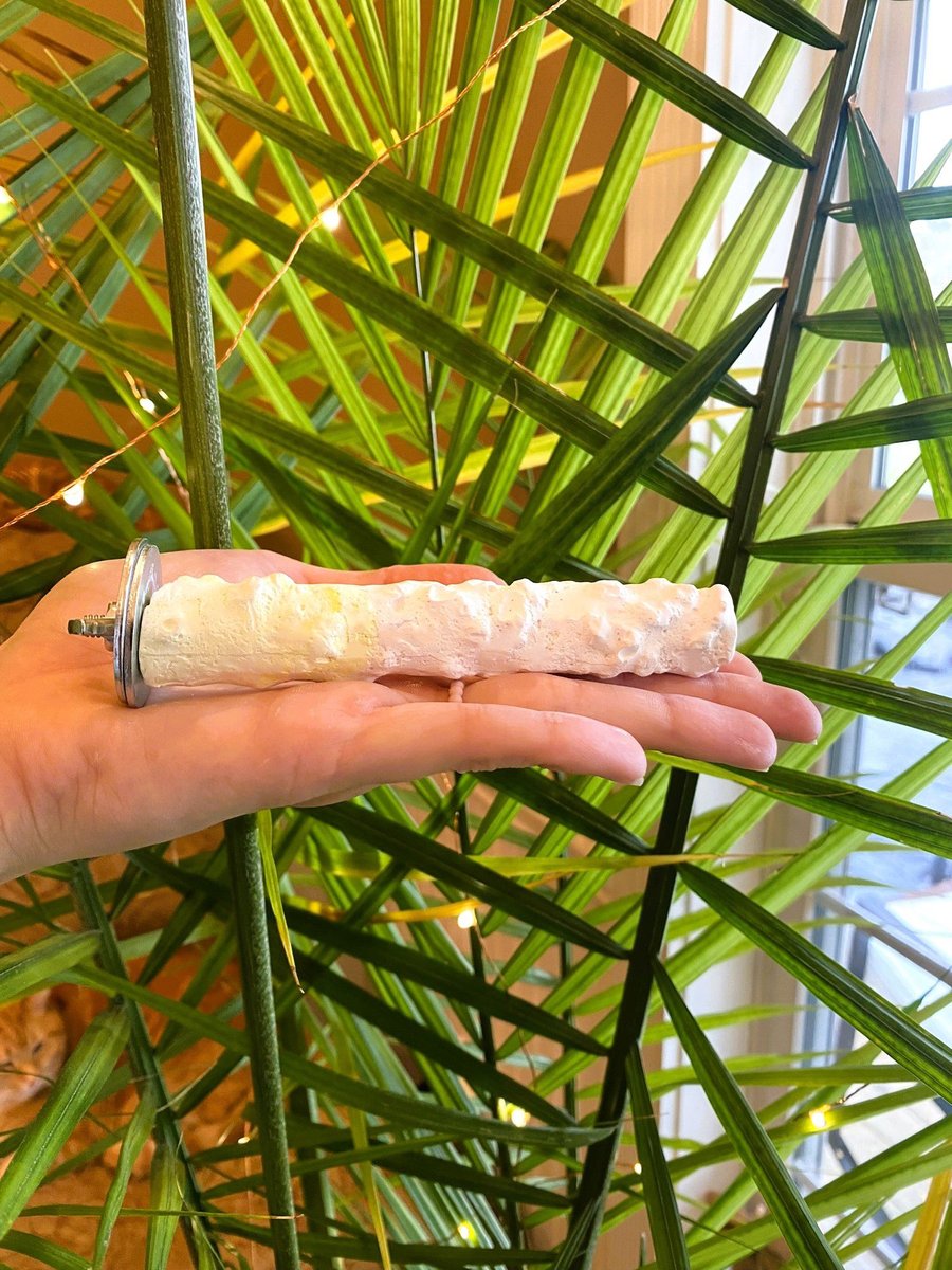 POLLY'S PET PRODUCTS Banana Split Cuttlebone & Calcium Bird Perch ...