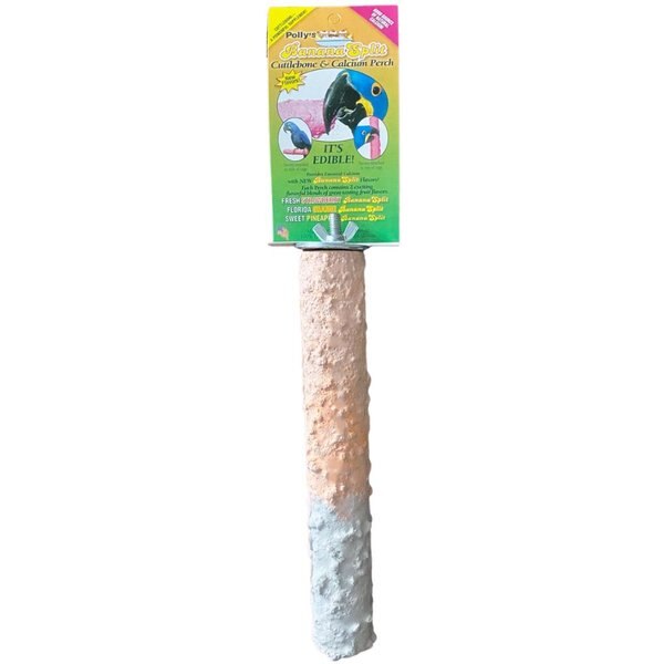 BIRD LIFE Parakeet & Small Bird Perch, 6-in - Chewy.com