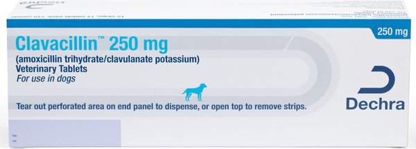 CLAVACILLIN (amoxicillin trihydrate/clavulanate potassium) Tablets for ...