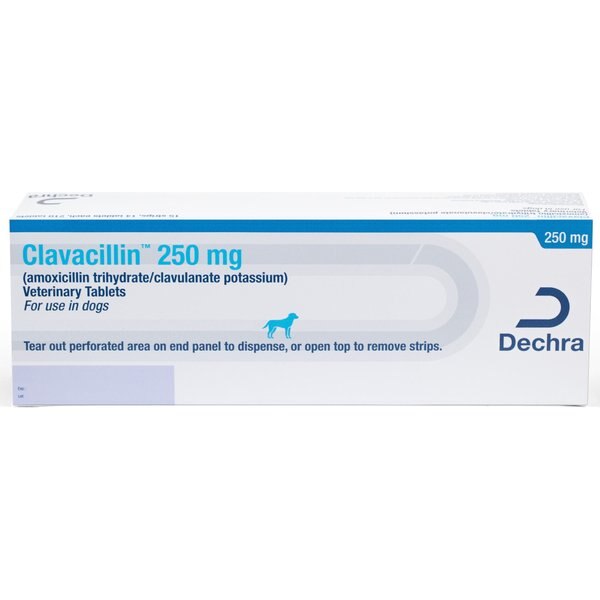 CLAVACILLIN (amoxicillin trihydrate/clavulanate potassium) Tablets for ...