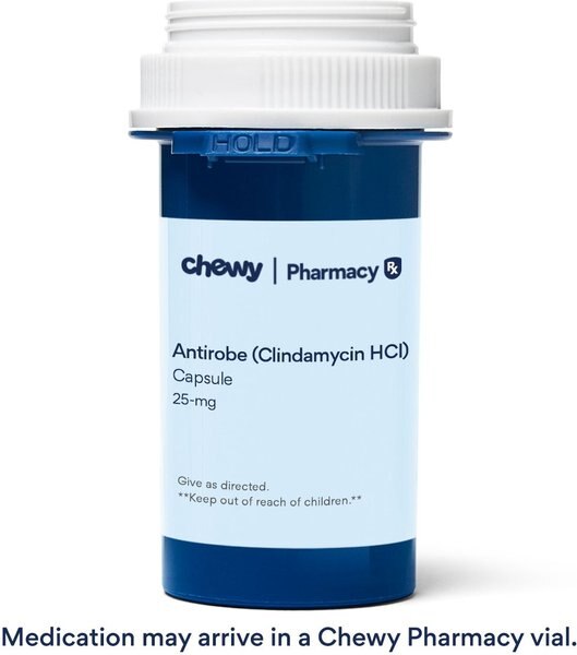 ANTIROBE (Clindamycin HCI) Capsules for Dogs, 25-mg, 30 capsules ...