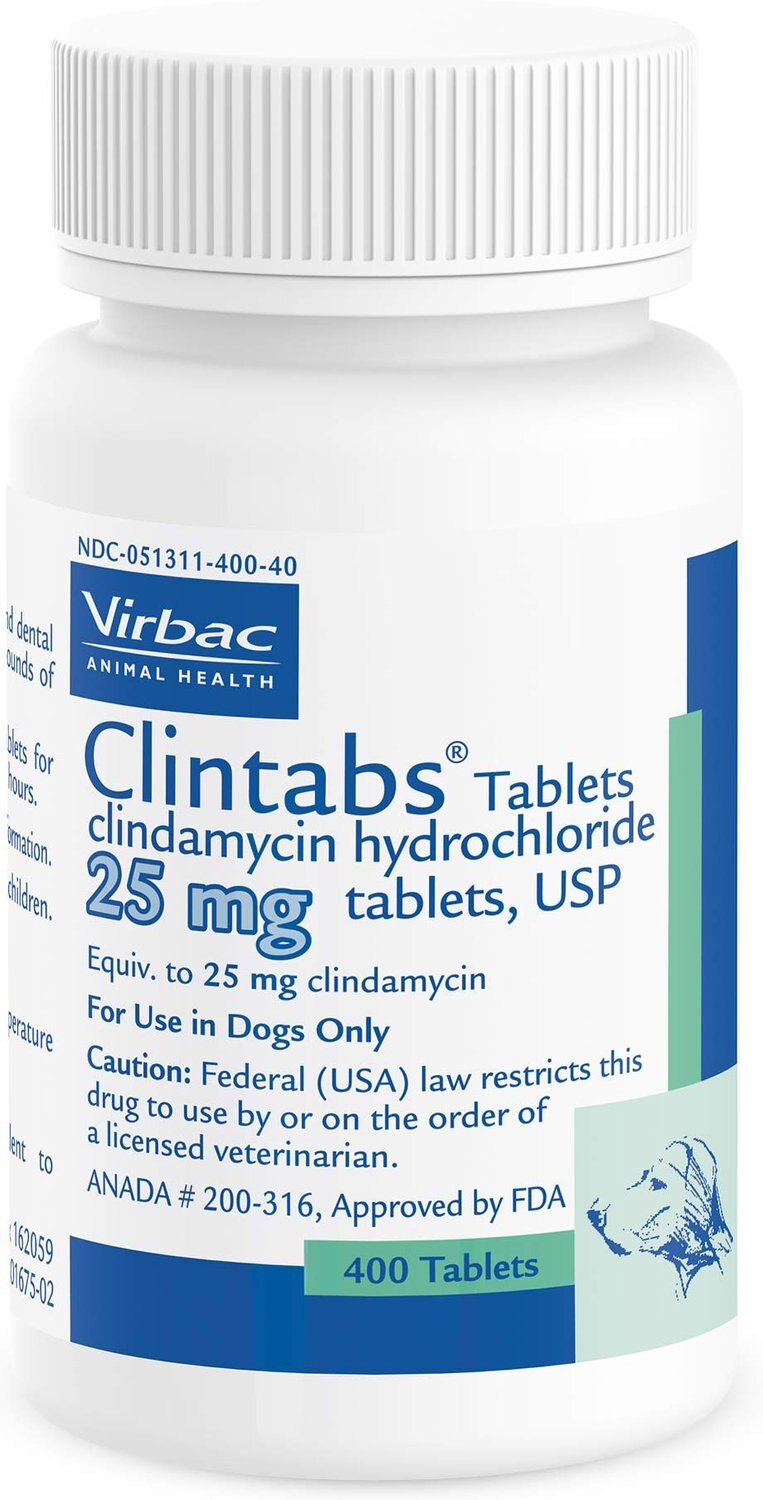 CLINTABS (Clindamycin HCl) Tablets for Dogs, 25-mg, 15 tablets - Chewy.com