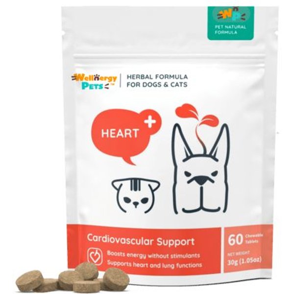 NATURVET Cardiovascular Support Tablets Heart Supplement for Dogs, 60 ...