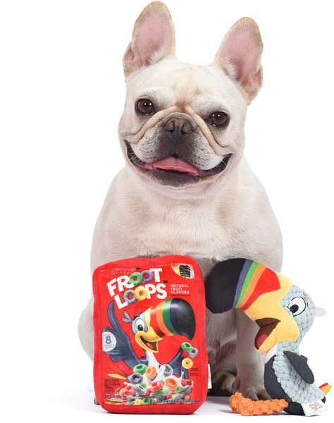 Discontinued - FETCH FOR PETS Kellogg's Froot Loops Box & Toucan Sam ...
