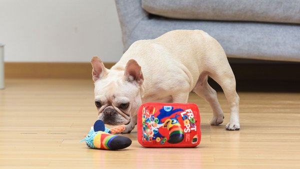 Discontinued - FETCH FOR PETS Kellogg's Froot Loops Box & Toucan Sam ...