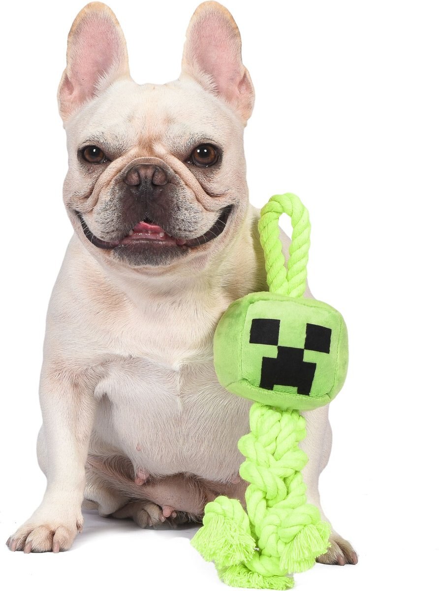 Discontinued - FETCH FOR PETS Minecraft Creeper Rope Squeaky Dog Toy ...