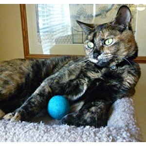 10 Best Cat Balls & Chase Toys 2024: According to Reviews | Chewy