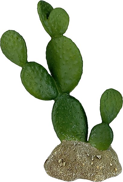 KOMODO Cactus Prickly Pear Reptile Ornament, Green - Chewy.com