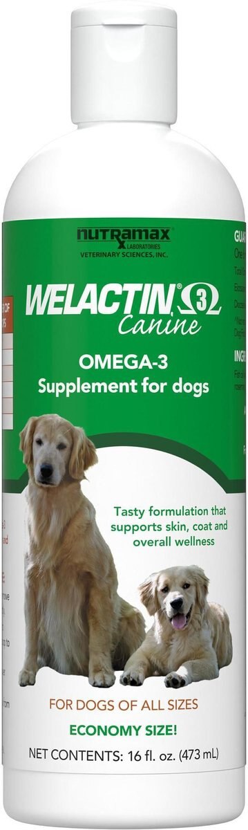 NUTRAMAX Welactin Omega-3 Liquid Skin & Coat Supplement for Dogs, 16-fl ...