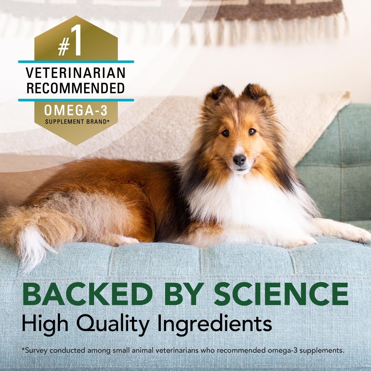 NUTRAMAX Welactin Omega-3 Liquid Skin & Coat Supplement for Dogs, 16-fl ...