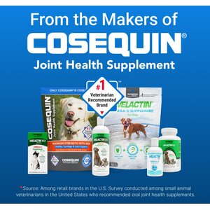 10 Best Skin & Coat Supplements for Dogs 2025: According to Reviews | Chewy