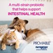 NUTRAMAX Proviable Paste & Capsules Digestive Supplement Kit for Cats ...