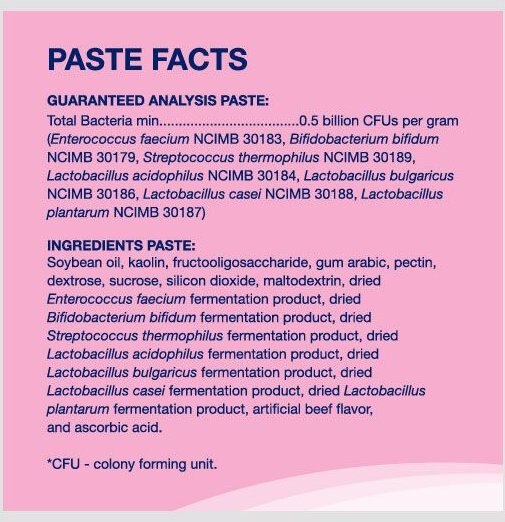 NUTRAMAX Proviable Paste & Capsules Digestive Supplement Kit for Cats ...