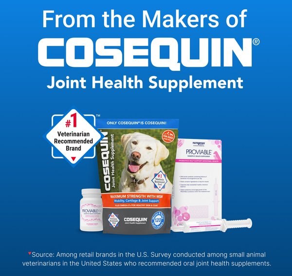 NUTRAMAX Proviable Paste & Capsules Digestive Supplement Kit for Cats ...