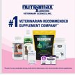 NUTRAMAX Proviable Paste & Capsules Digestive Supplement Kit for Medium ...
