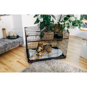 7 Best Large Dog Crates 2024: According to Reviews | Chewy