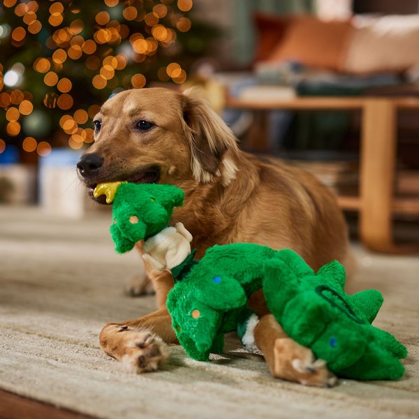 Discontinued - FRISCO Holiday Elf in a Tree Bungee Plush Squeaky Dog ...