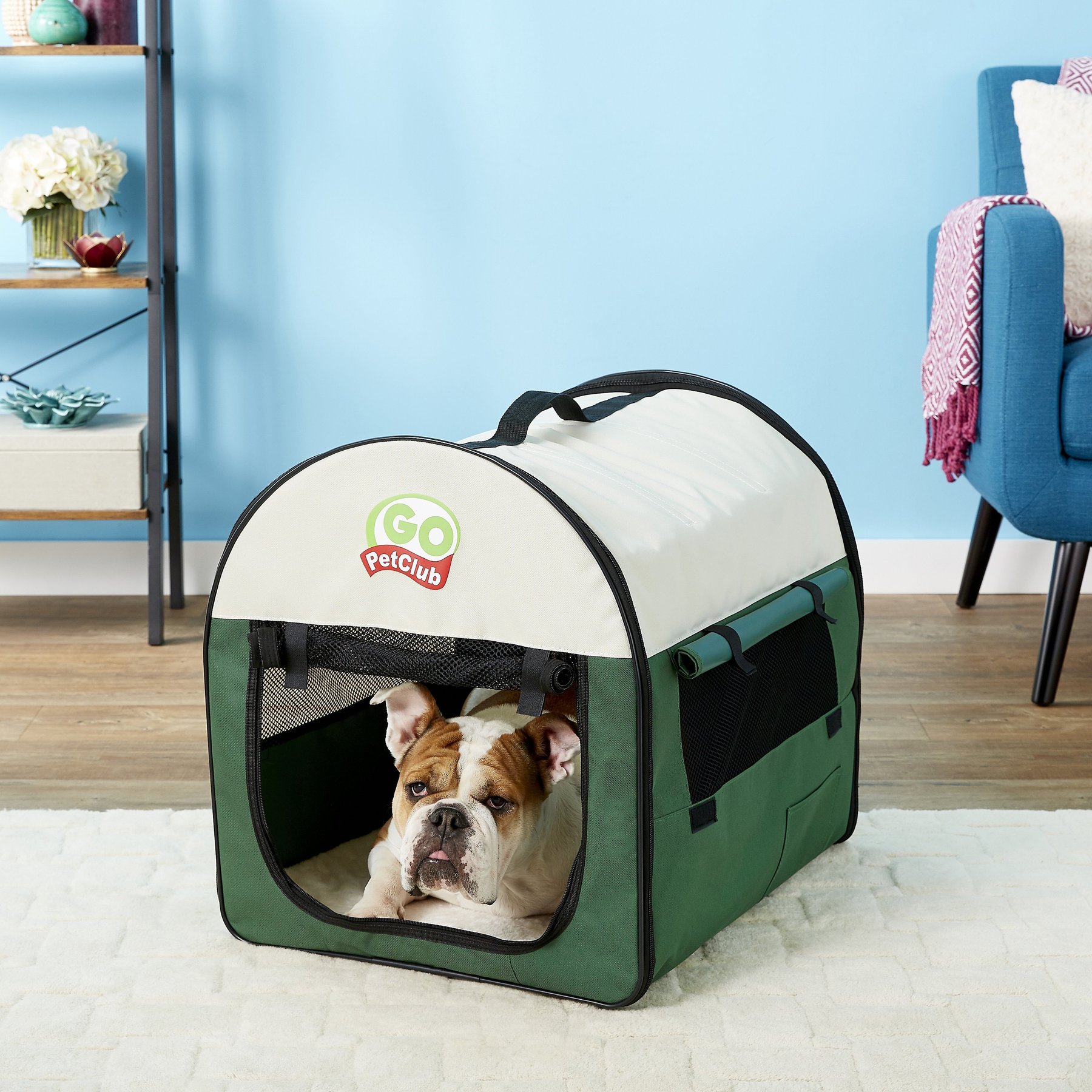 GO PET CLUB Single Door Collapsible Soft-Sided Dog Crate, Green, 24 ...