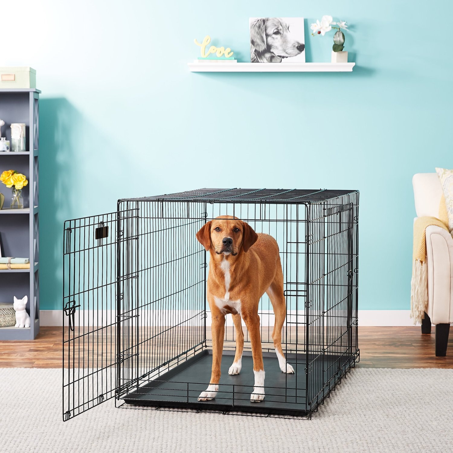 PRECISION PET PRODUCTS Provalu Double Door Collapsible Wire Dog Crate ...