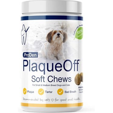 Dog Dental Chews: Dental Sticks & Treats (Free Shipping) | Chewy