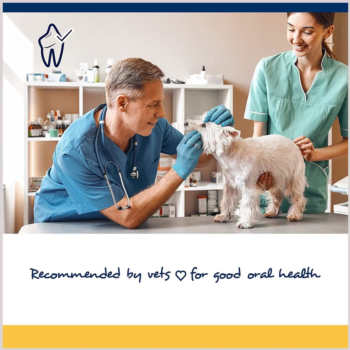 PRODEN PlaqueOff Small/Med Breed Soft Chews Dog Treat, 90 count - Chewy.com