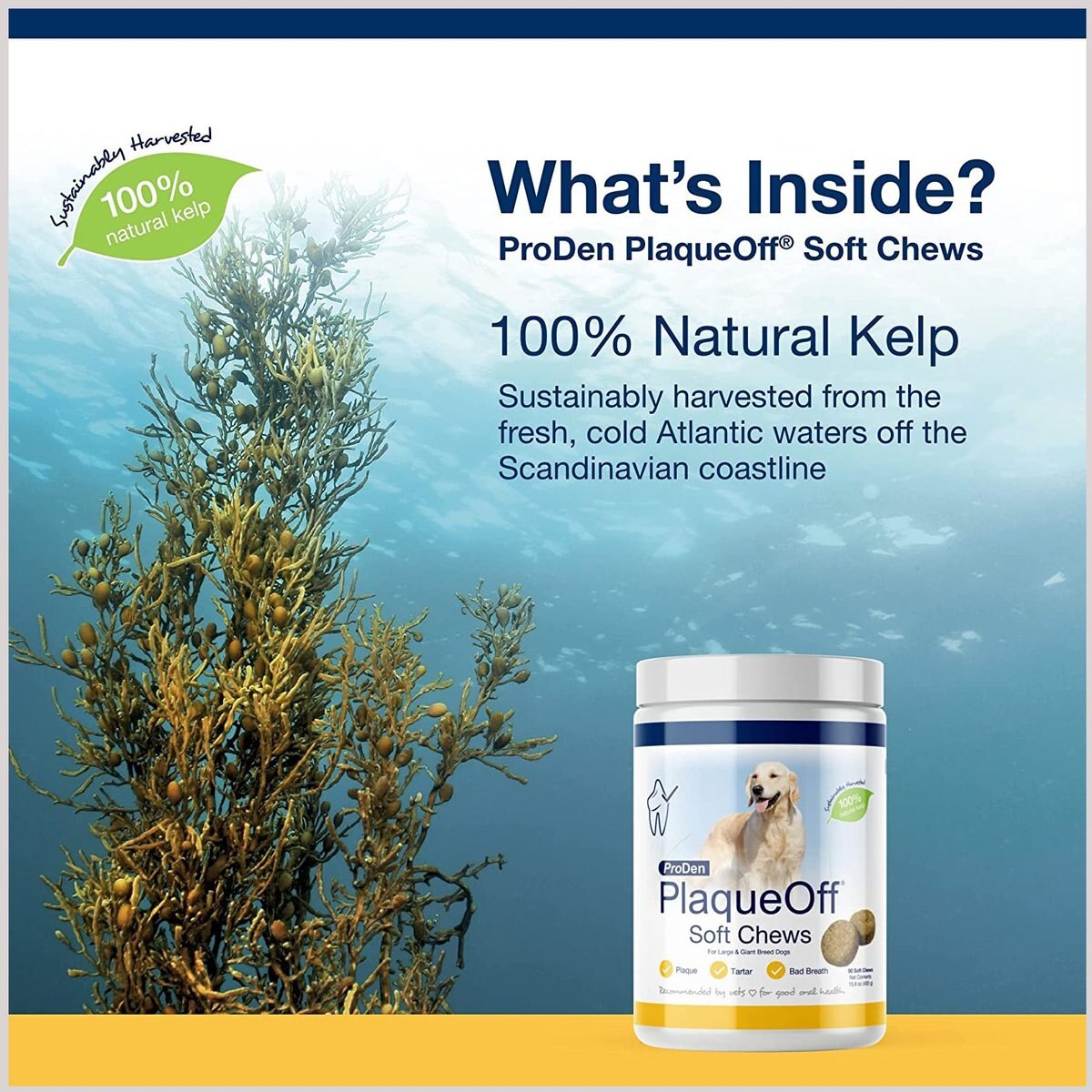 PRODEN PlaqueOff Large/Giant Breed Soft Chews Dog Treat, 90 count ...